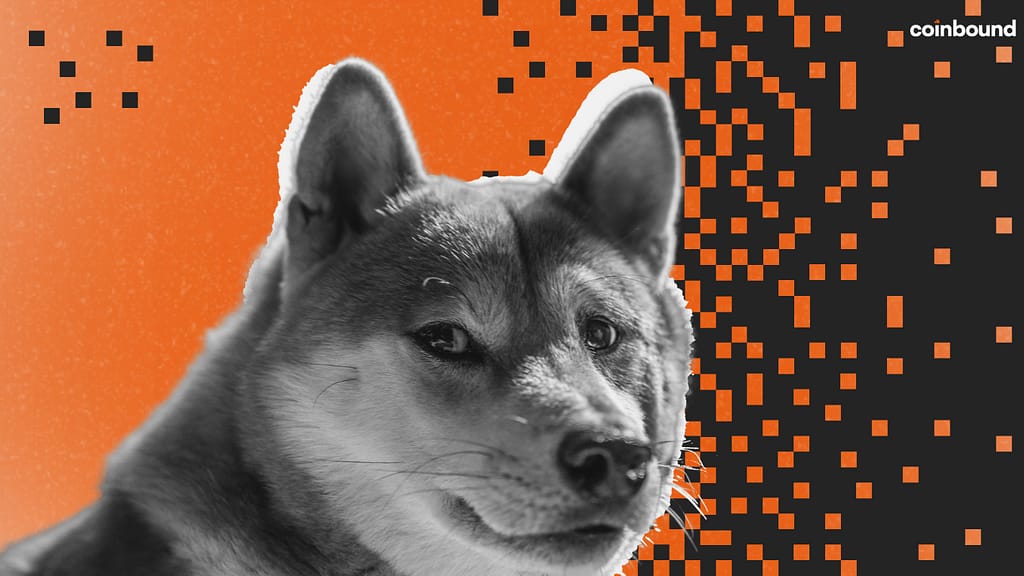 How to Launch a Meme Coin: A Step-by-Step Guide for 2025