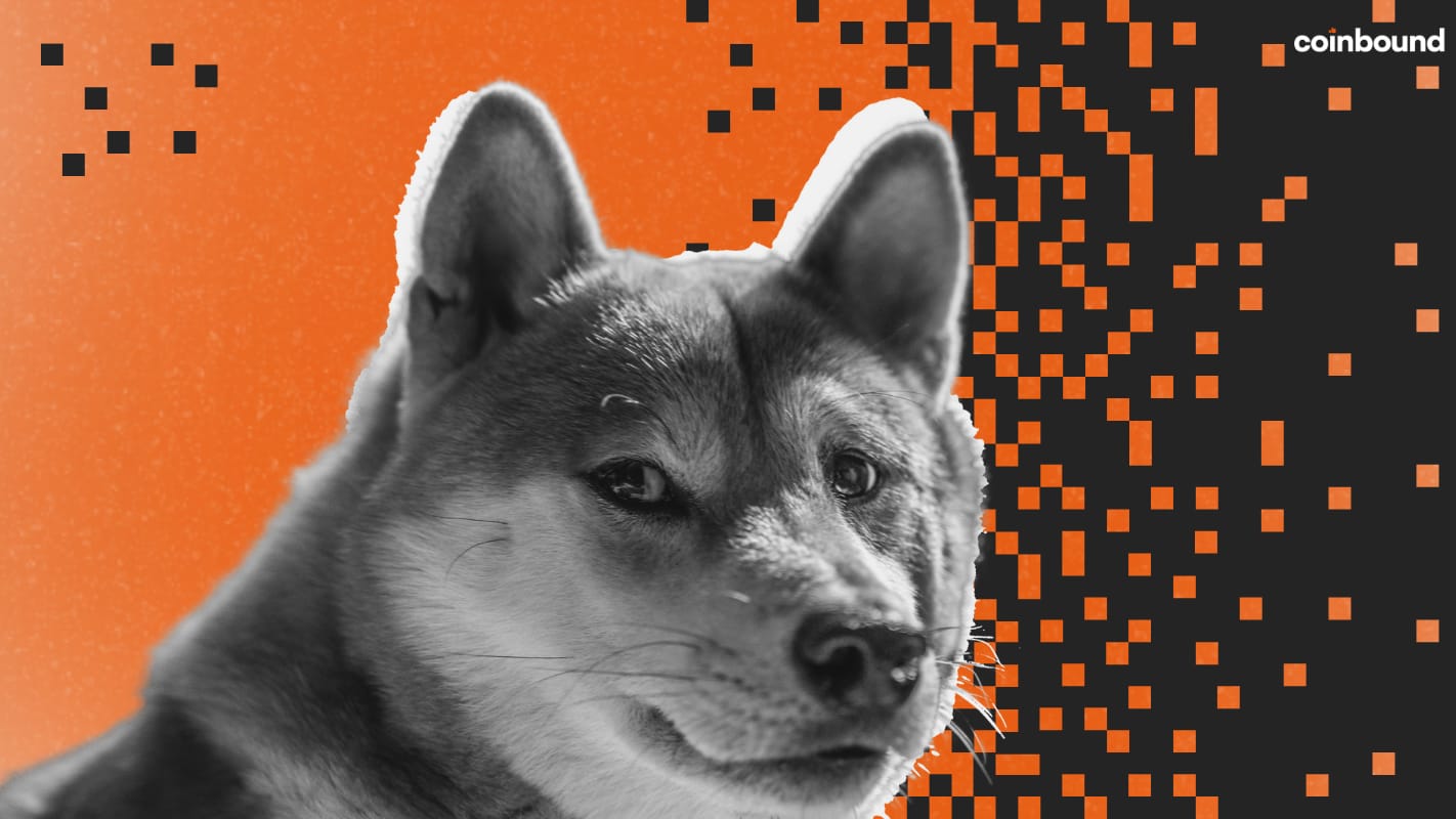 How to Launch a Meme Coin: A Step-by-Step Guide for 2025