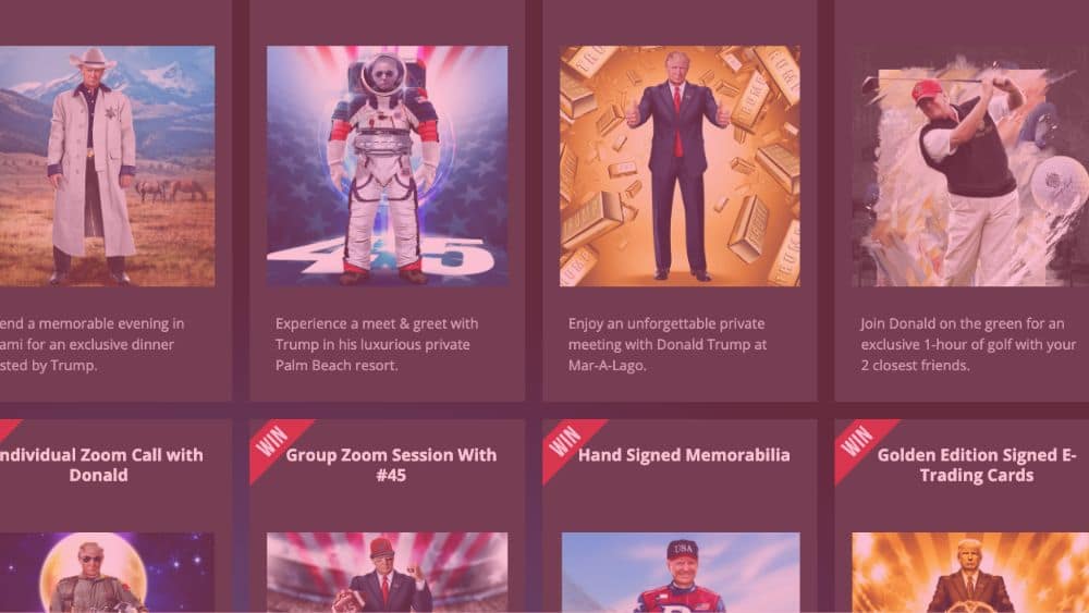 What is NFT INT LLC? (And Who Owns It?)